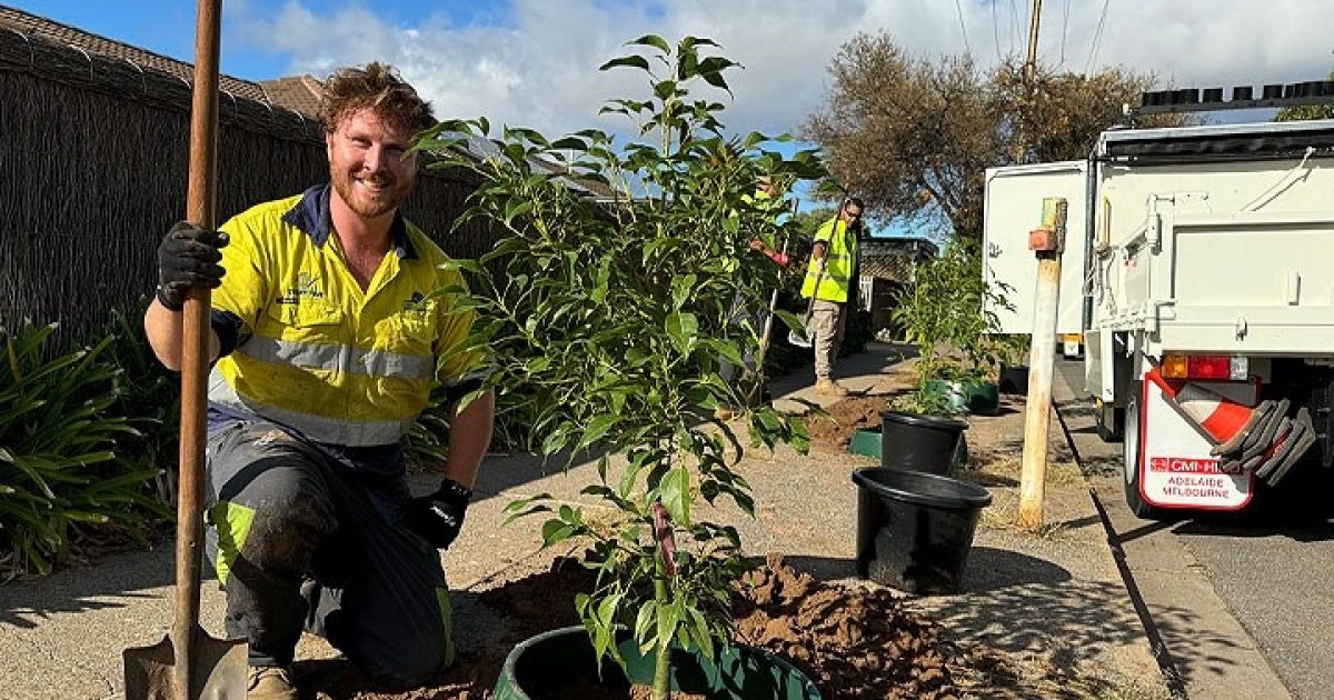 Green Triangle set to bloom | City of Holdfast Bay