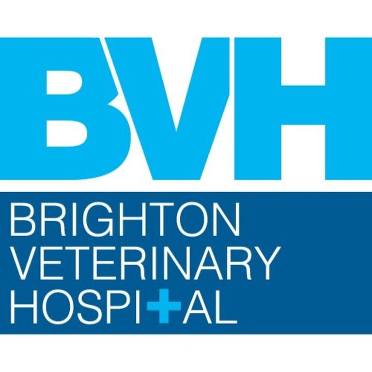 Brighton Veterinary Hospital | City of Holdfast Bay
