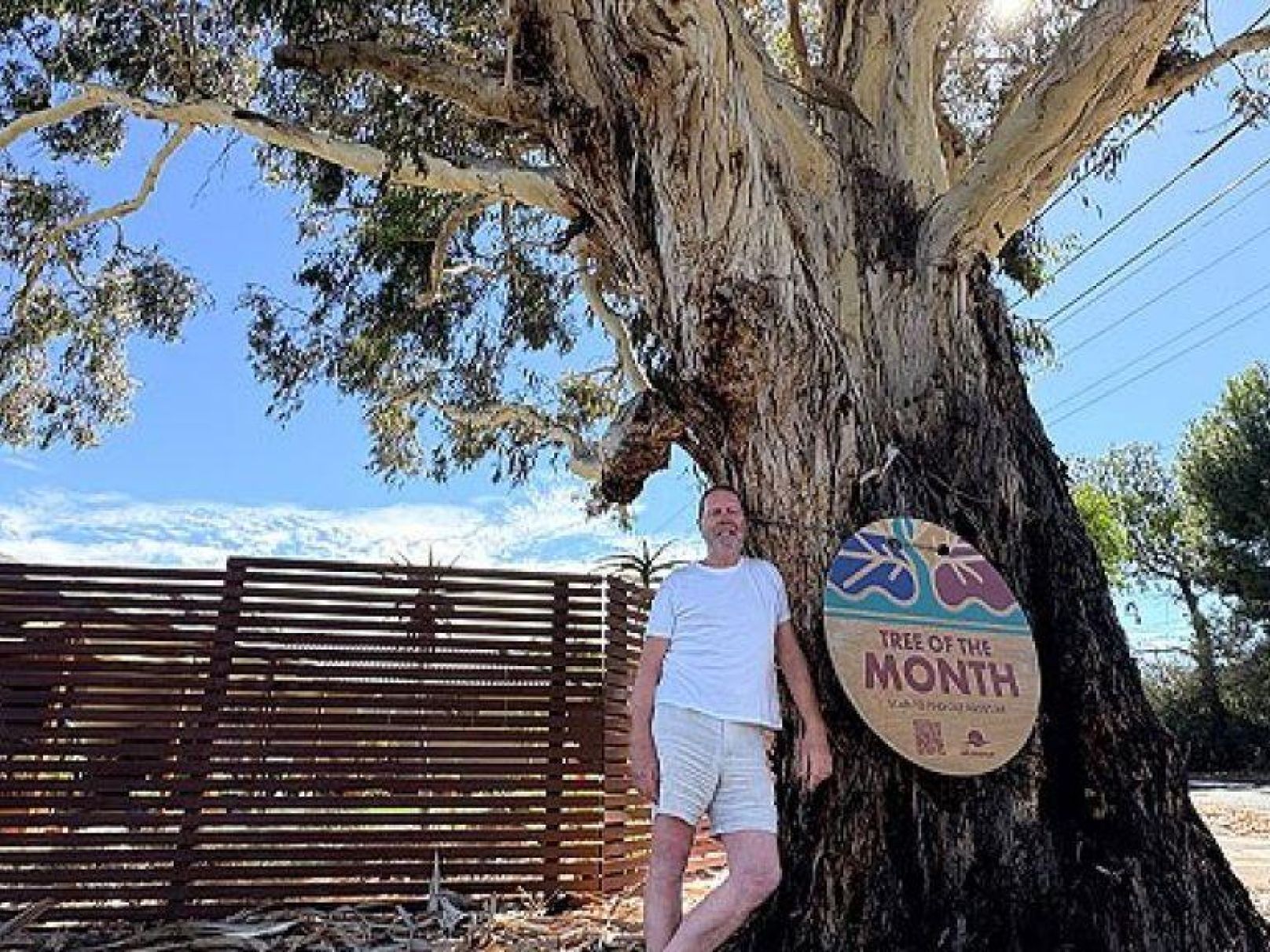 Tree of the Month | City of Holdfast Bay