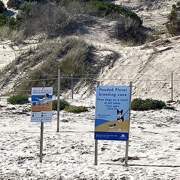 News | City of Holdfast Bay