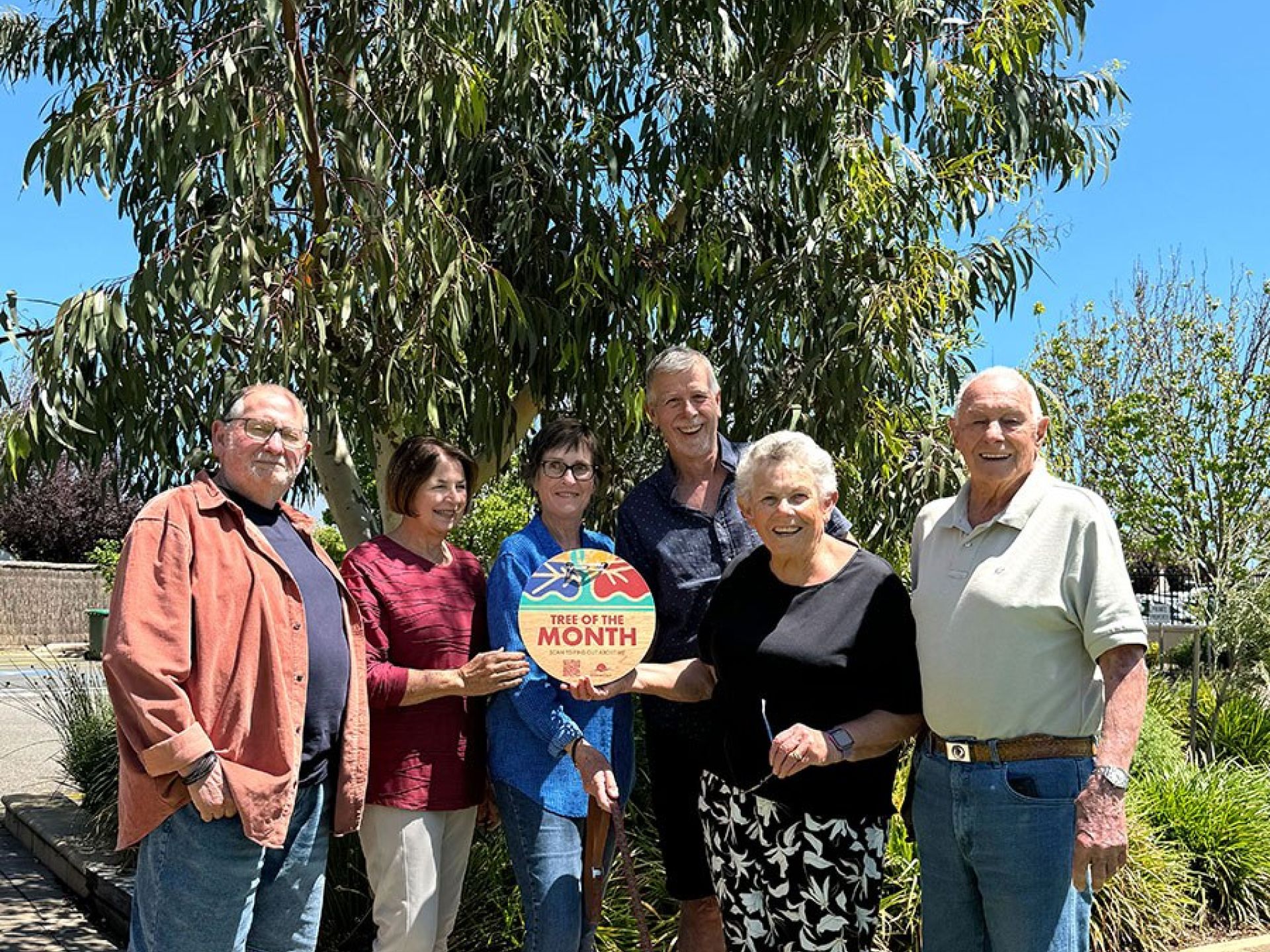 Tree of the Month | City of Holdfast Bay