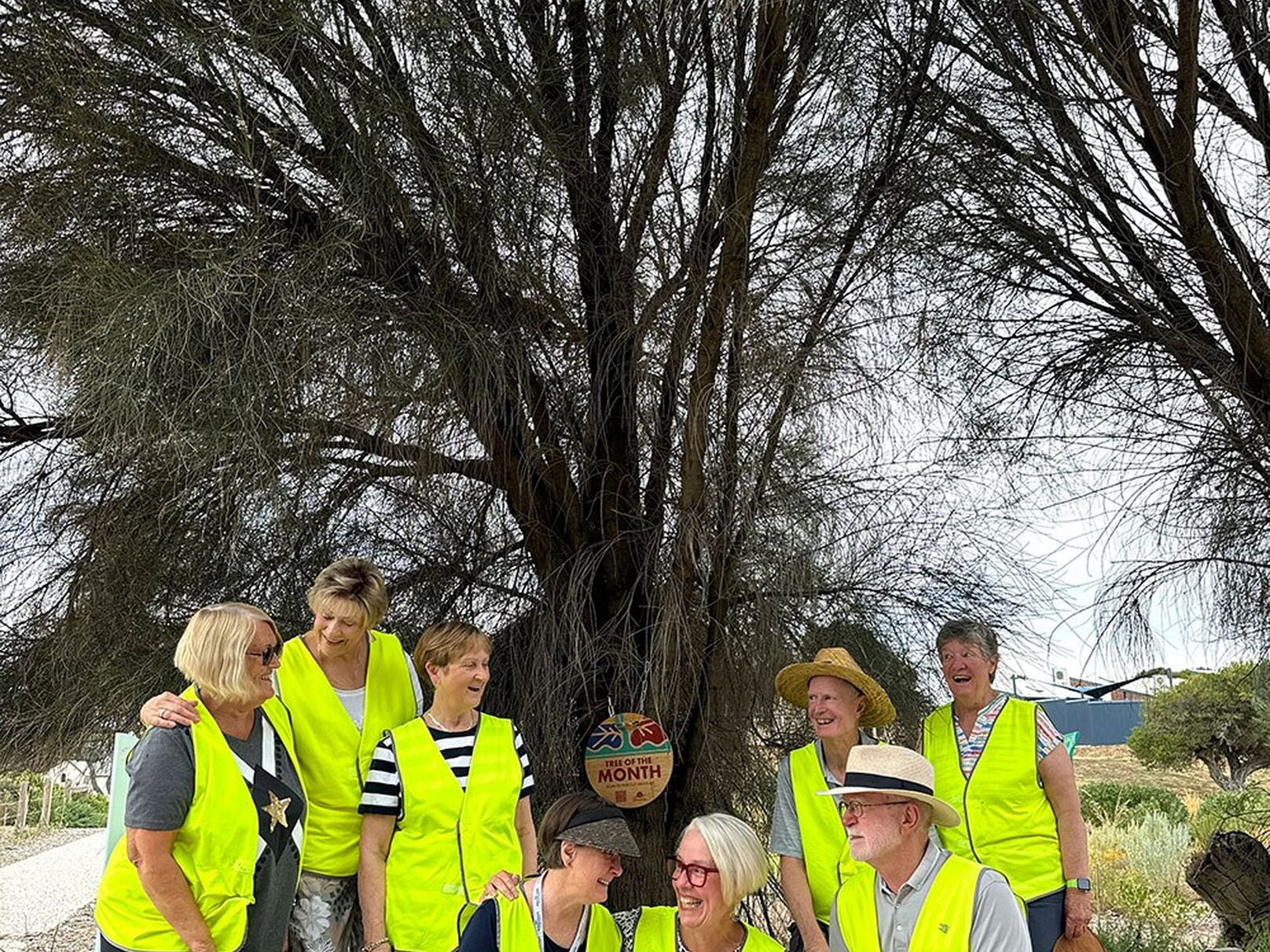 Tree of the Month | City of Holdfast Bay