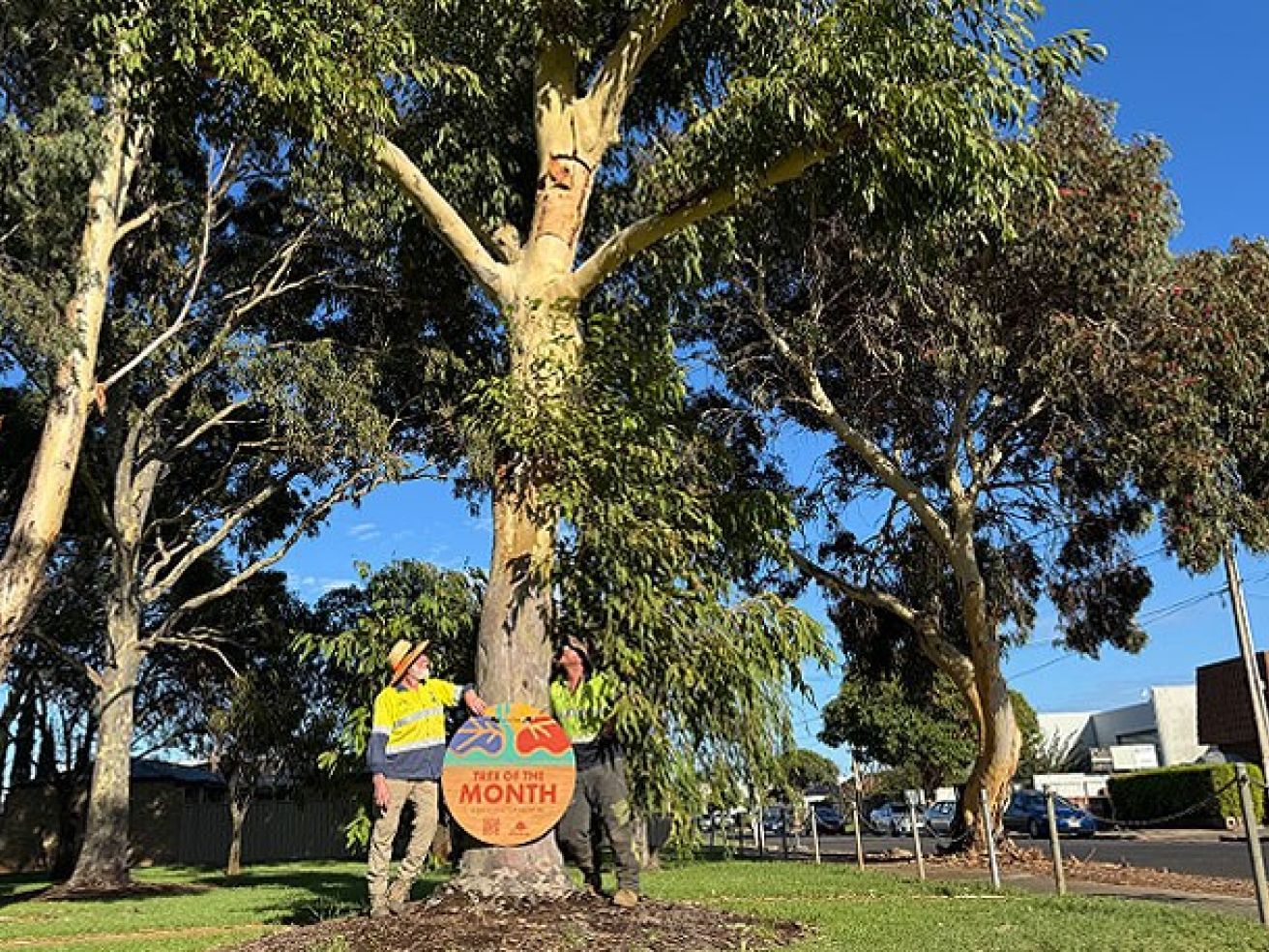 City of Holdfast Bay | Welcome - Adelaide's Premier Seaside Destination