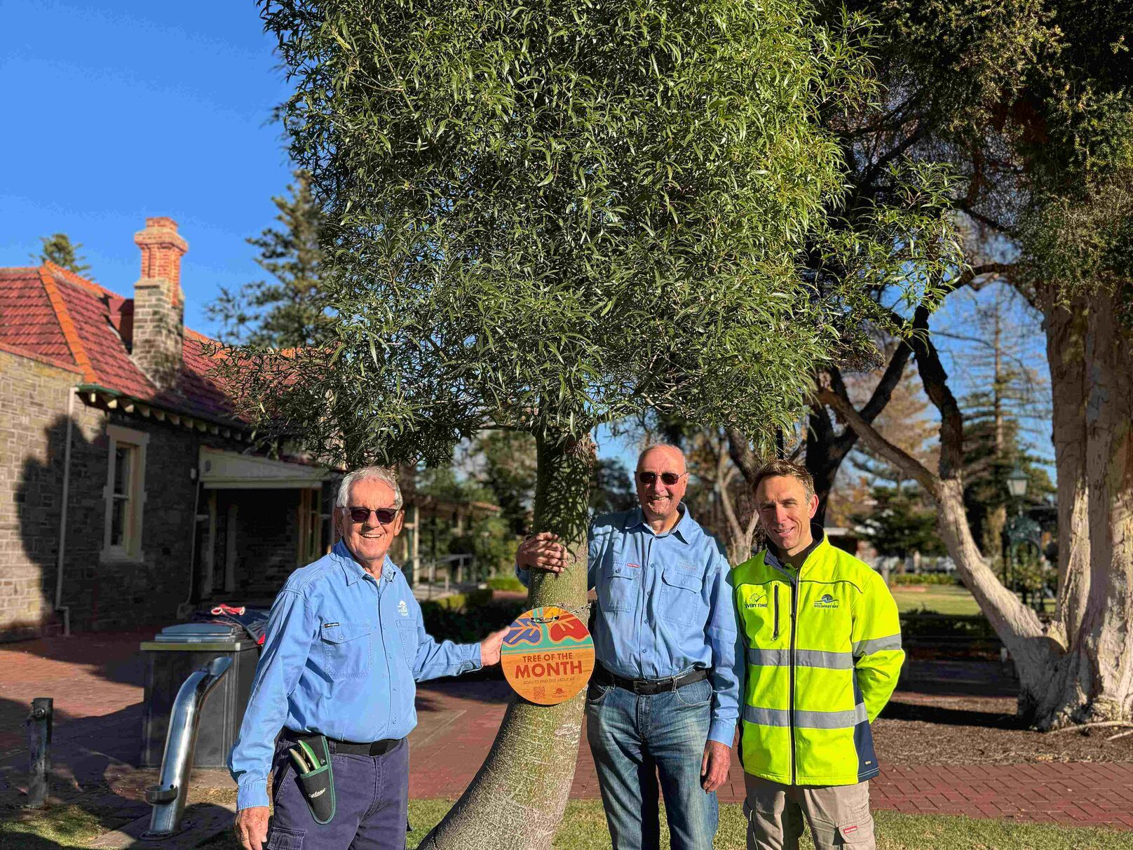 Tree of the Month | City of Holdfast Bay
