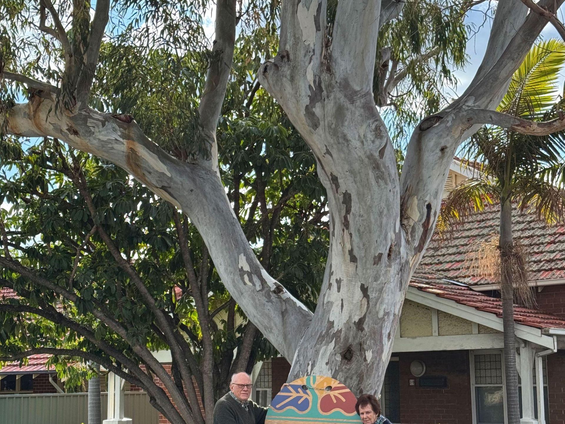 Tree of the Month | City of Holdfast Bay