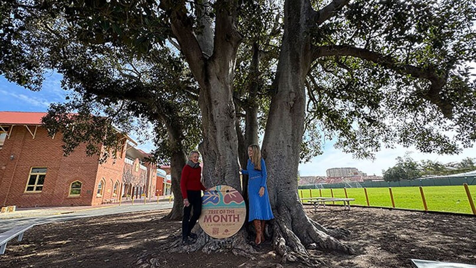 School's historic tree celebrated | City of Holdfast Bay
