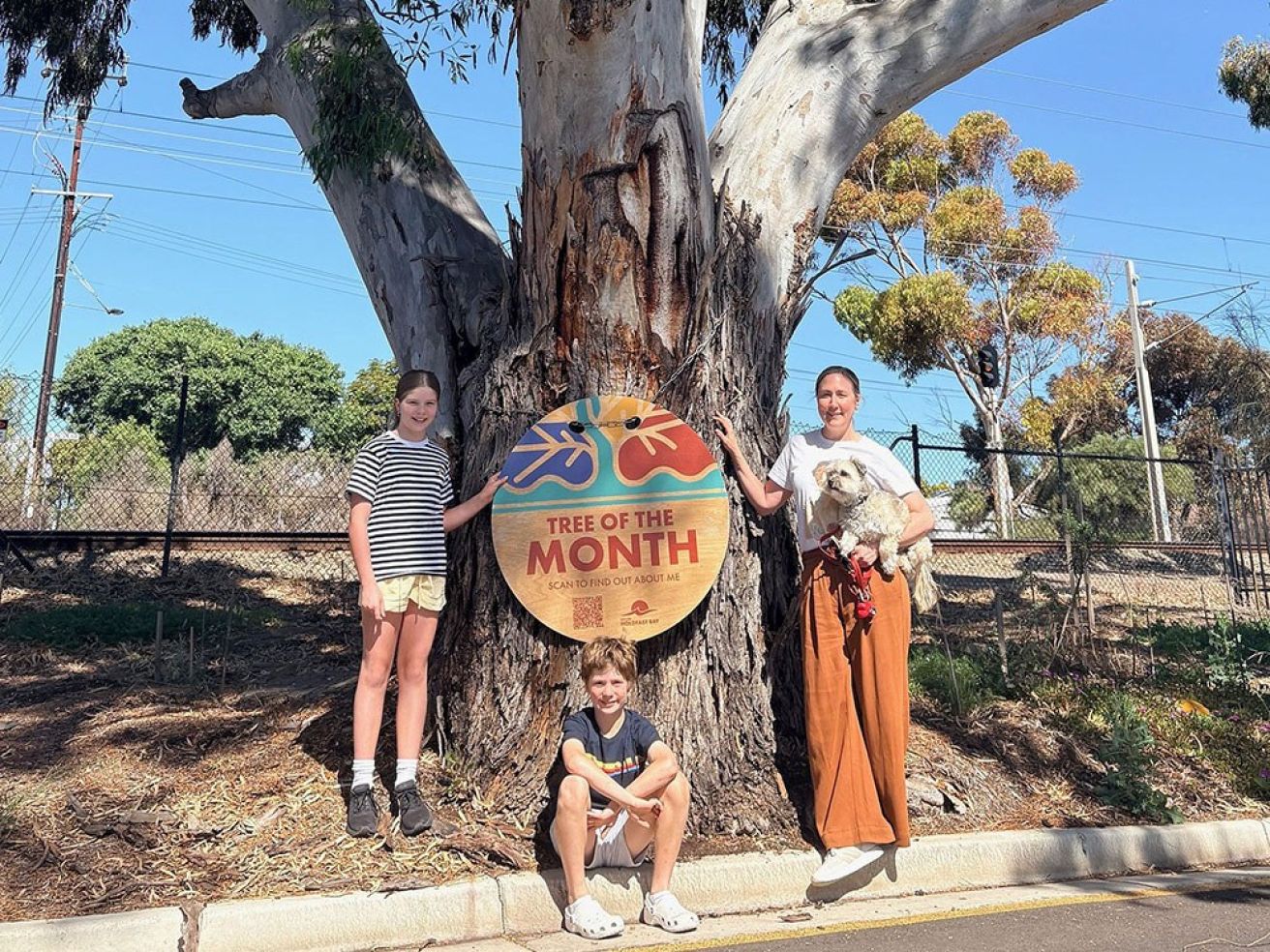 Tree of the Month | City of Holdfast Bay