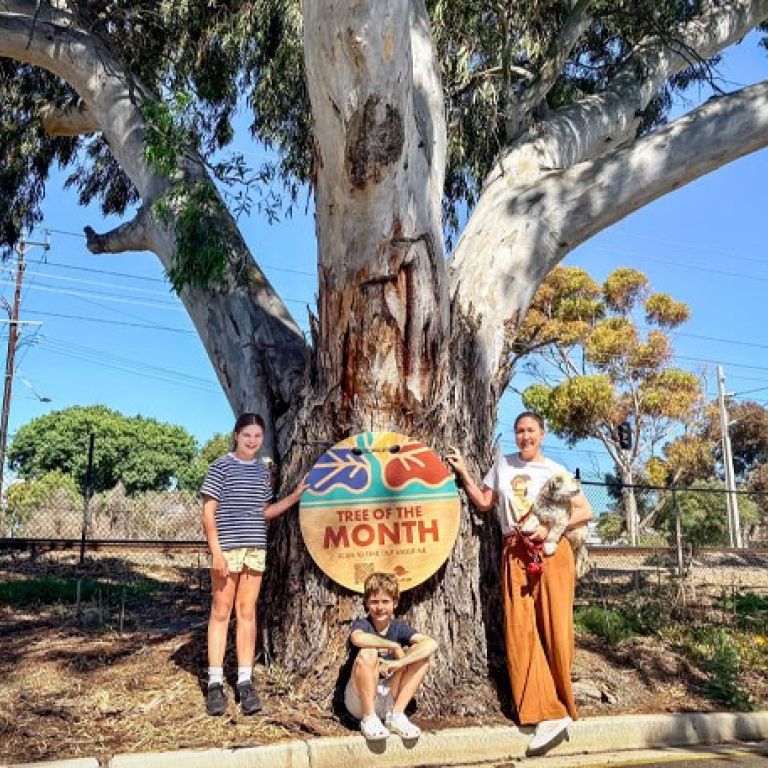 City of Holdfast Bay | Welcome - Adelaide's Premier Seaside Destination
