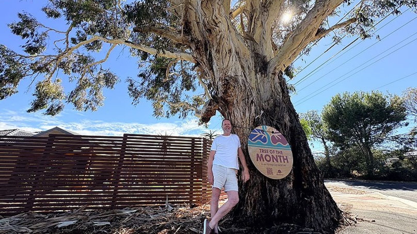 Wellbeing in the canopy | City of Holdfast Bay
