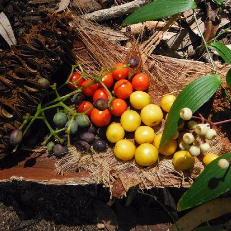 Creative Holdfast Arts Program | City of Holdfast Bay