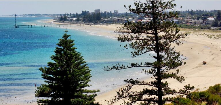 Contact Us | City of Holdfast Bay