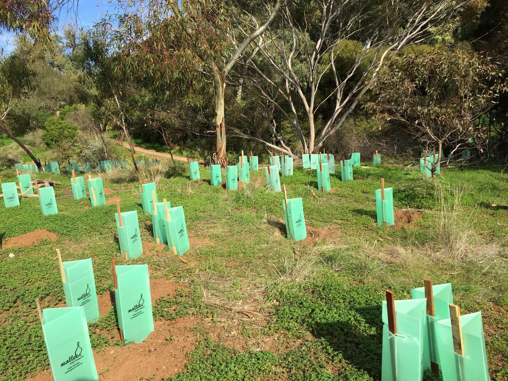 Gilbertson Gully Reserve | City of Holdfast Bay