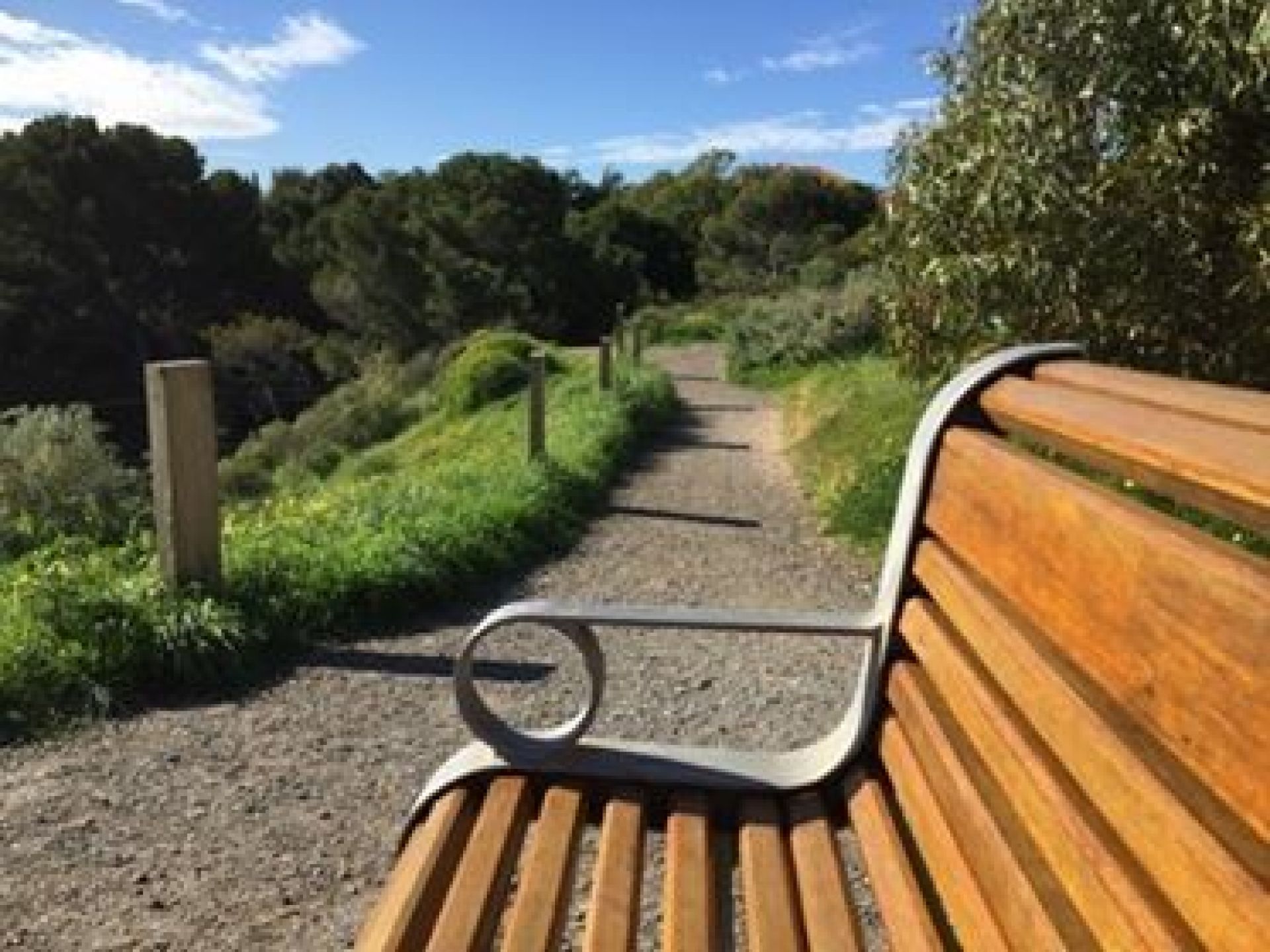 Pine Gully Reserve | City of Holdfast Bay