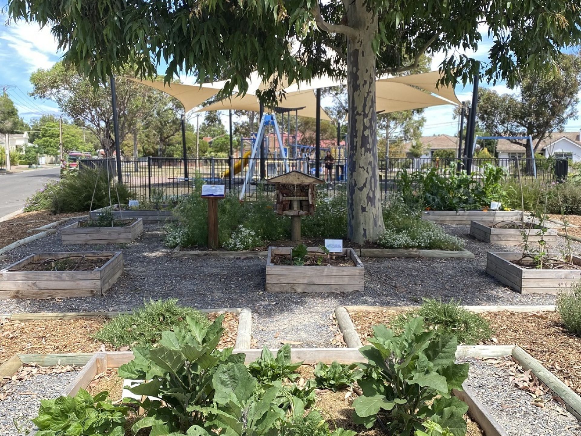 Graymore Park | City of Holdfast Bay