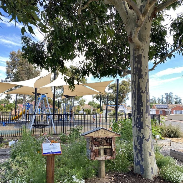 Old Gum Tree Reserve | City of Holdfast Bay