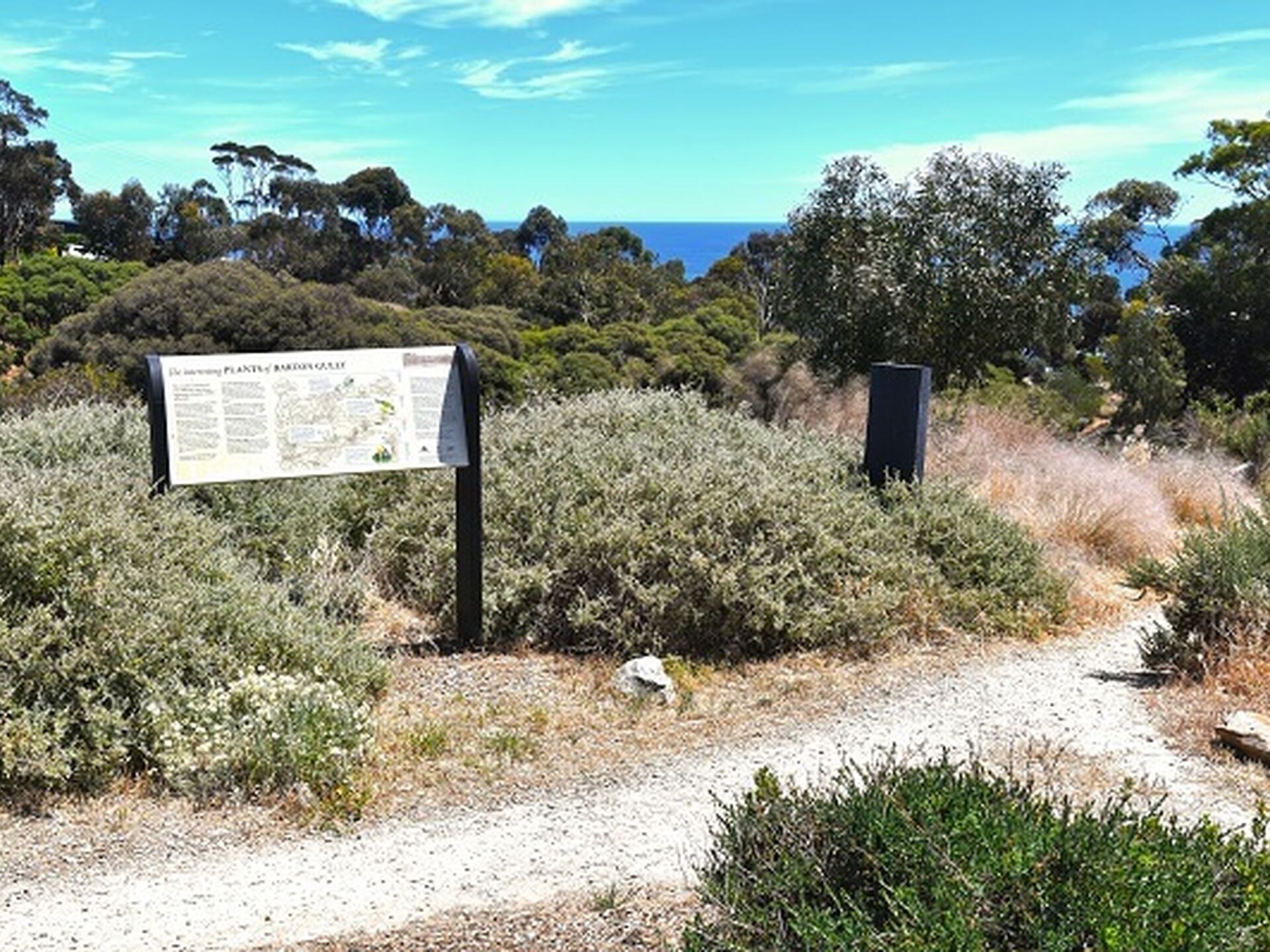 Barton Gully Reserve | City of Holdfast Bay