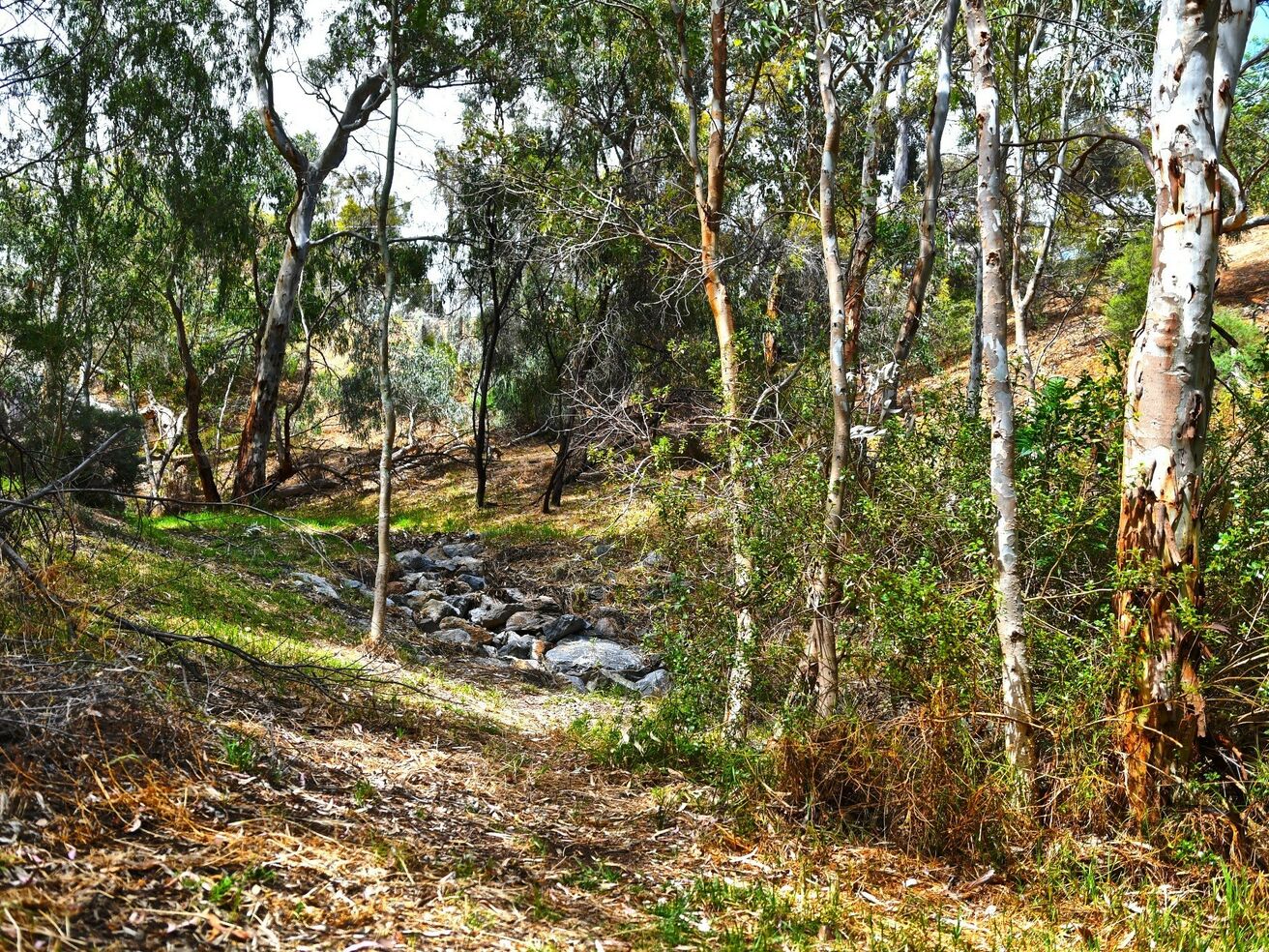 Gilbertson Gully Reserve | City of Holdfast Bay