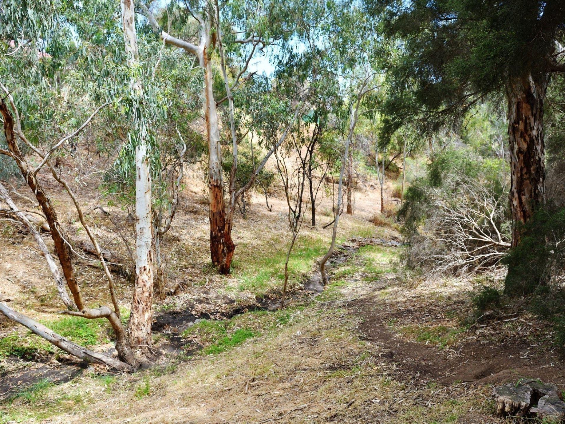 Gilbertson Gully Reserve | City of Holdfast Bay
