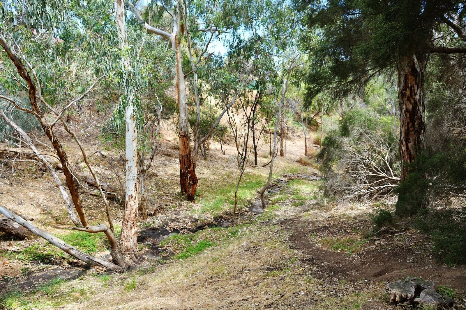 Gilbertson Gully Reserve | City of Holdfast Bay