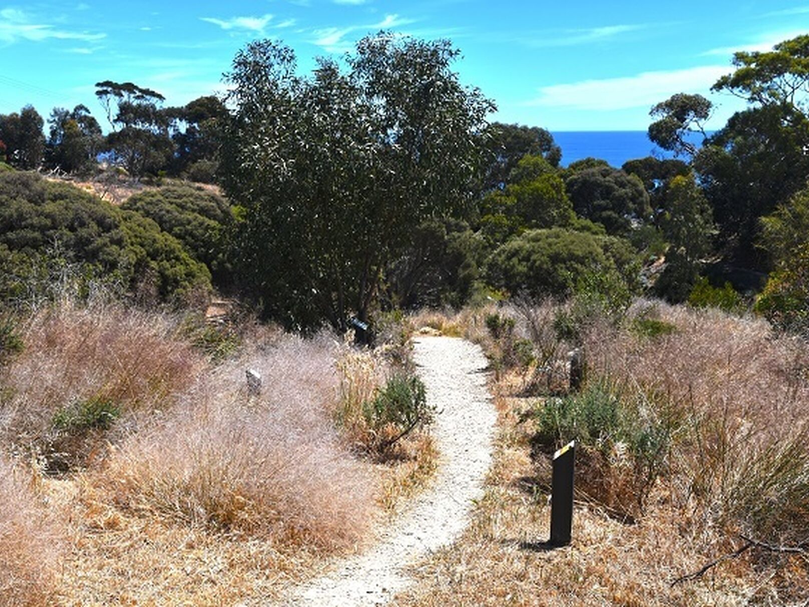 Barton Gully Reserve | City of Holdfast Bay
