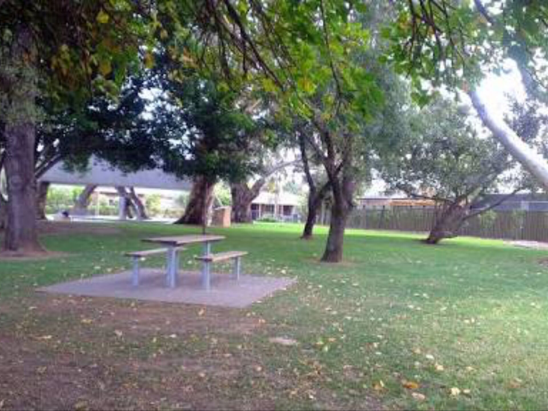 Old Gum Tree Reserve | City of Holdfast Bay