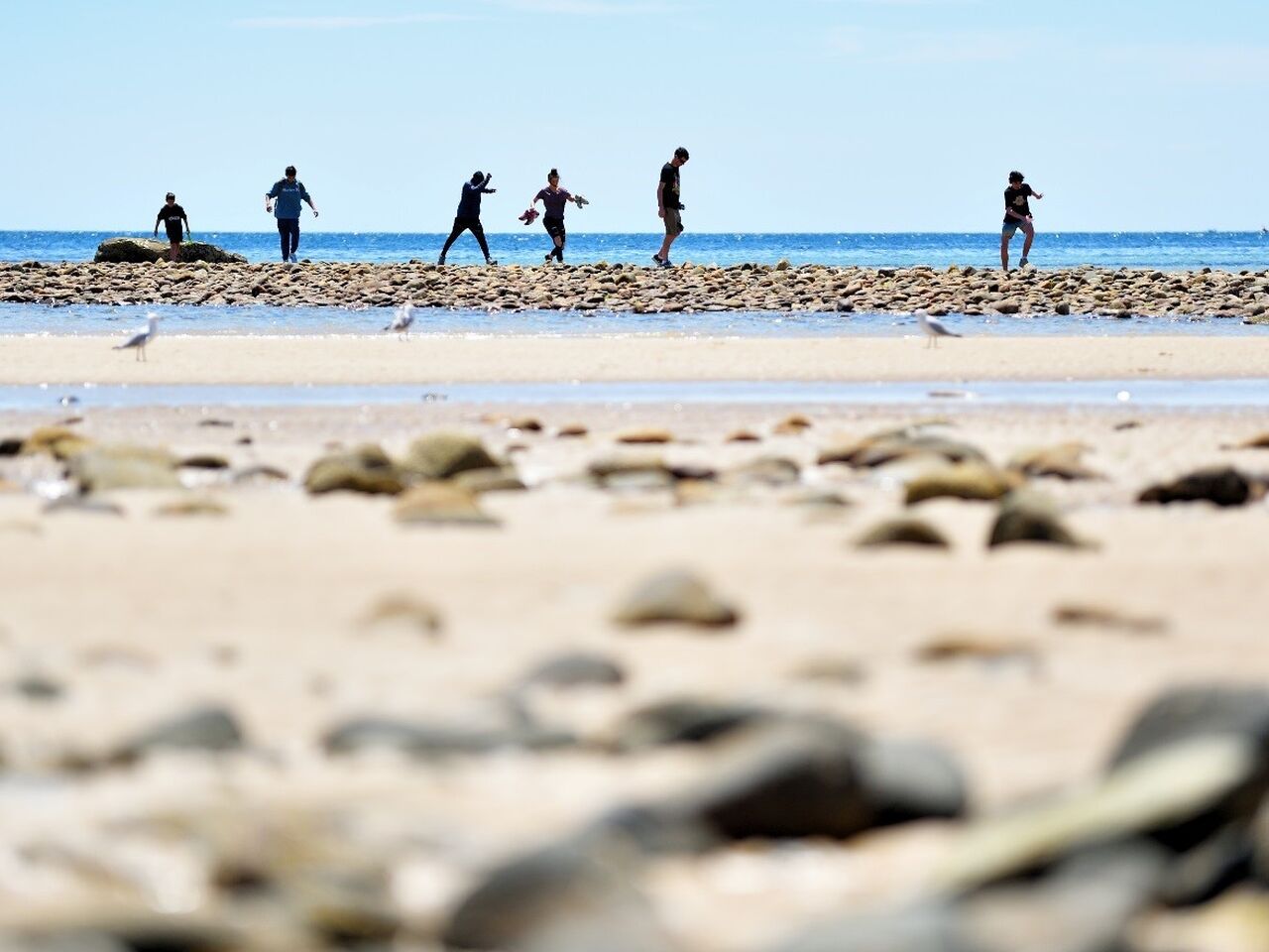 Kingston Park Beach | City of Holdfast Bay