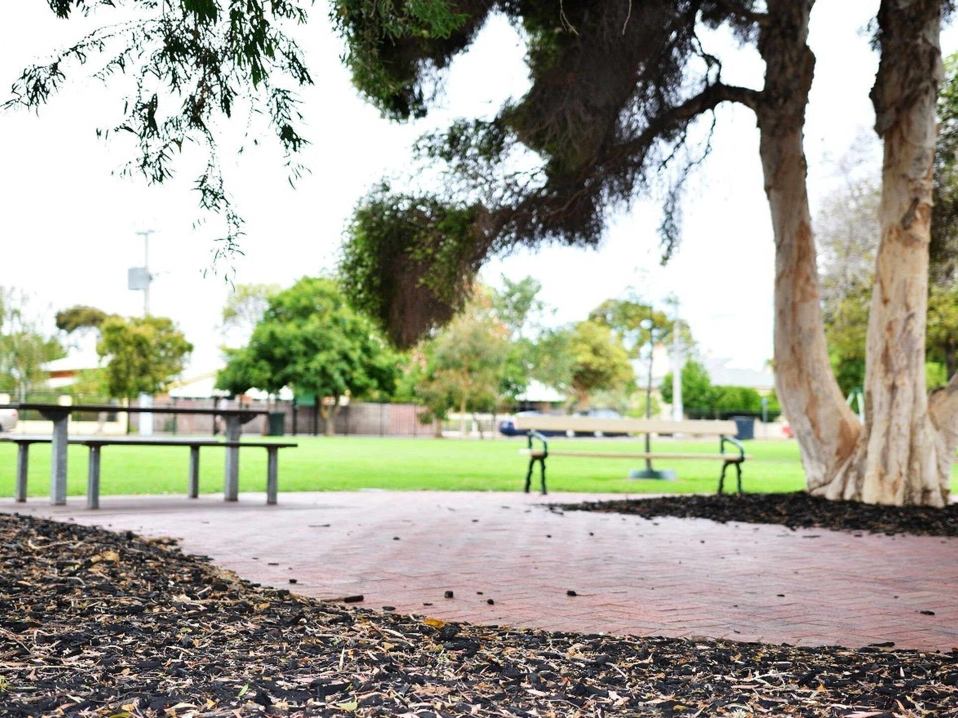 Partridge House Gardens | City of Holdfast Bay