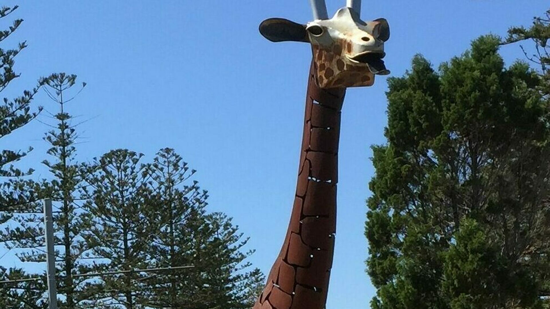 Gene the Giraffe | City of Holdfast Bay