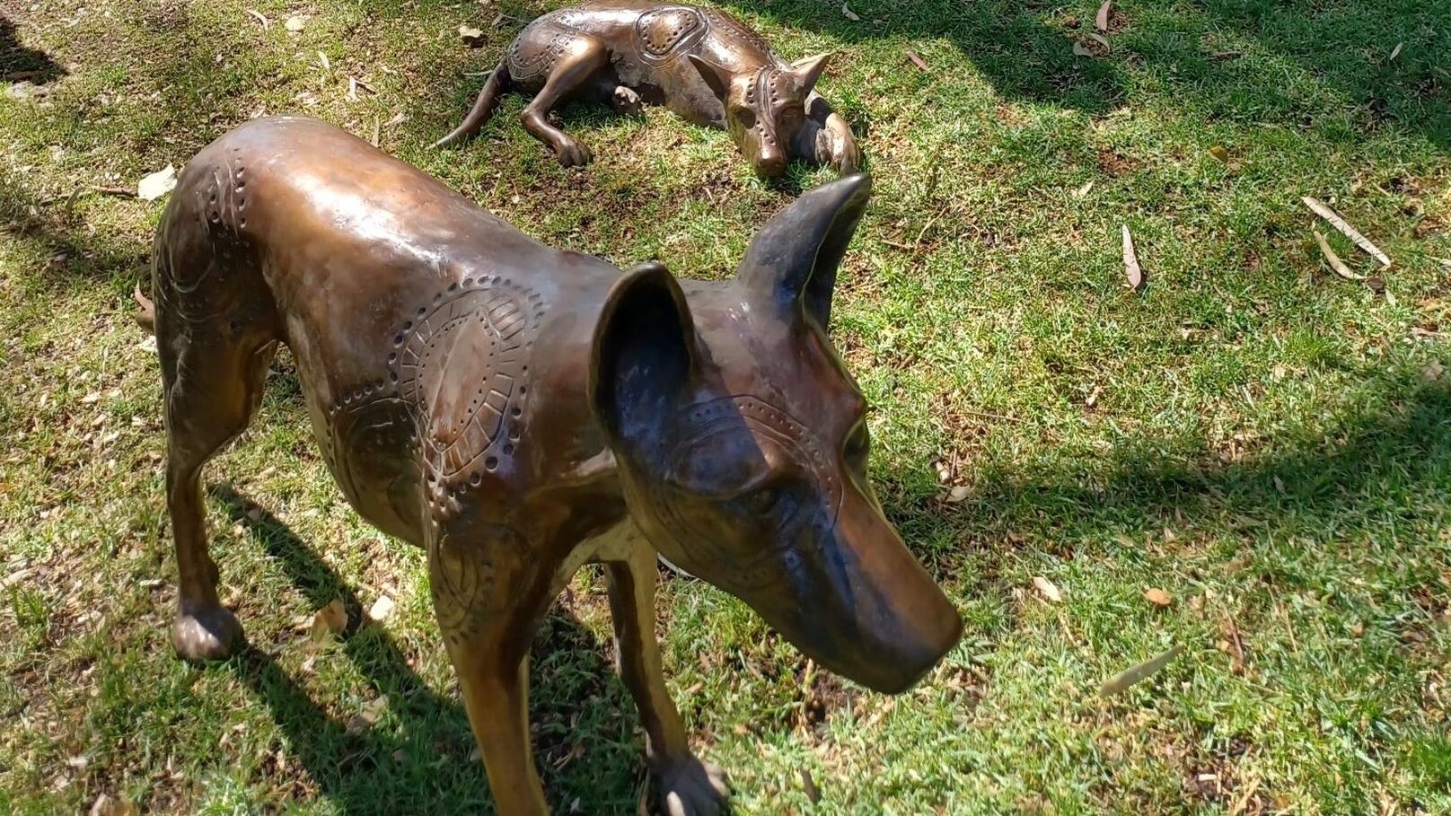 Papa Tjukurpa: Dingo Story | City of Holdfast Bay