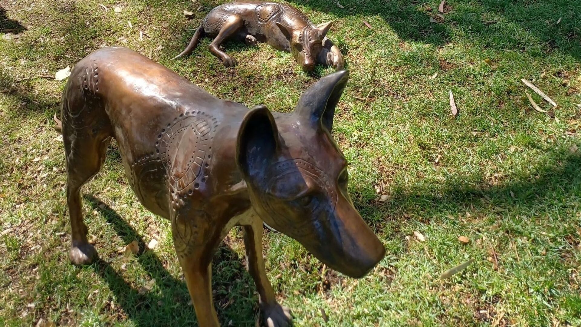 Papa Tjukurpa: Dingo Story | City of Holdfast Bay