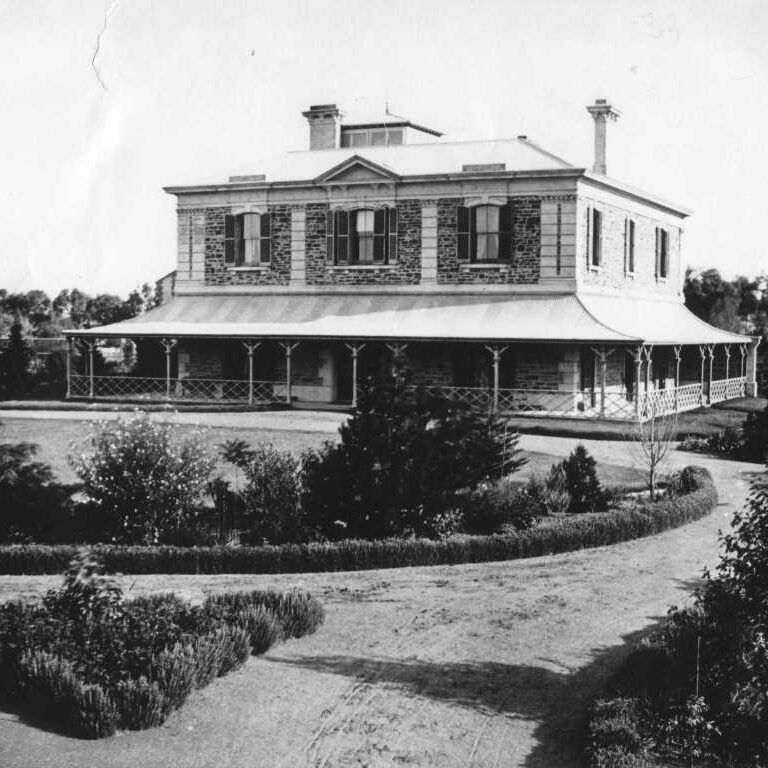 The Olives | City of Holdfast Bay