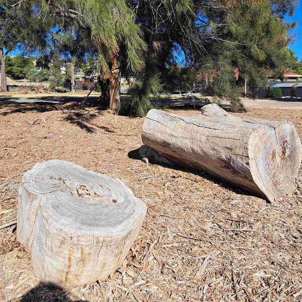 John Mathwin Reserve Playspace | City of Holdfast Bay